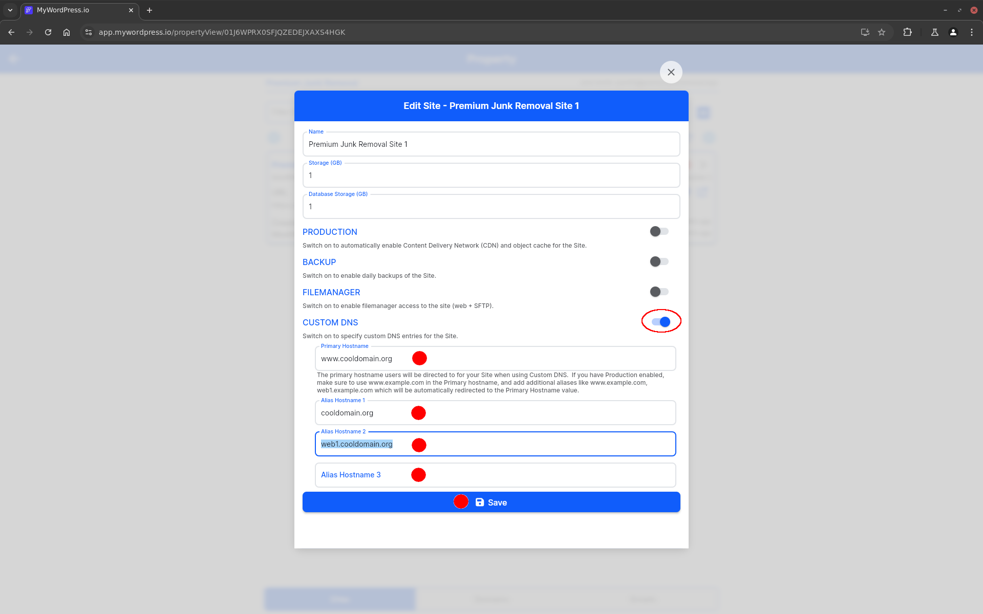 Custom Dns :: MyWordPress - Documentation Custom Dns :: MyWordPress - Documentation